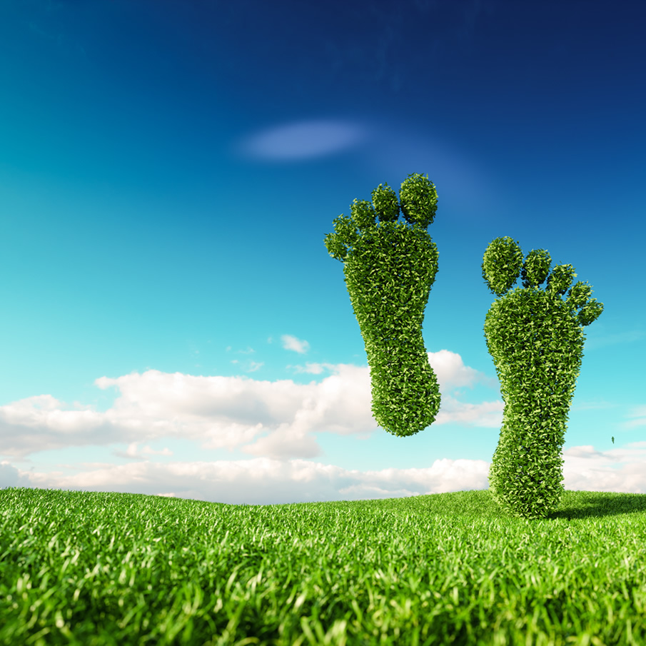 GoZero Methodology - BoM Systems